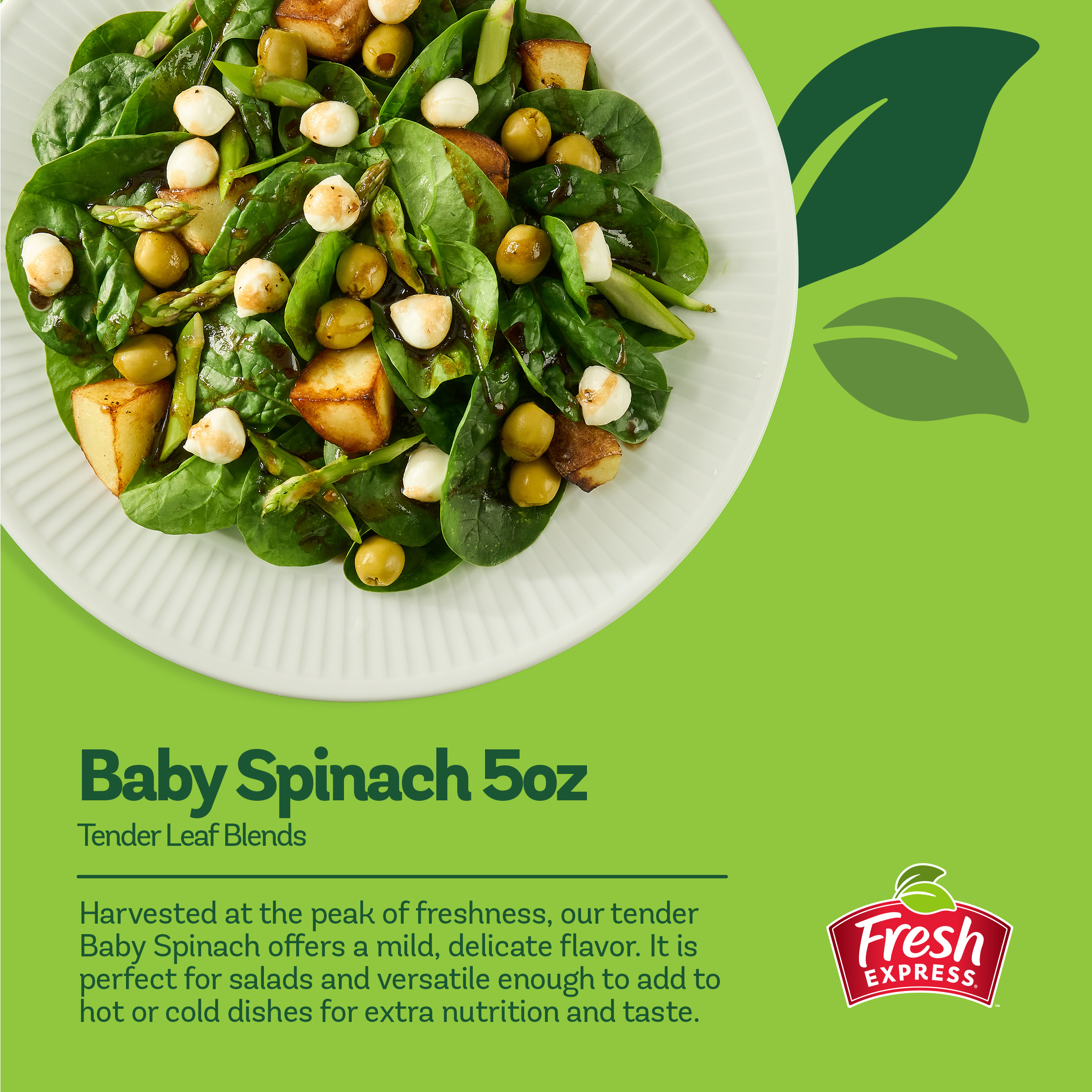 Baby Spinach - Fresh Express