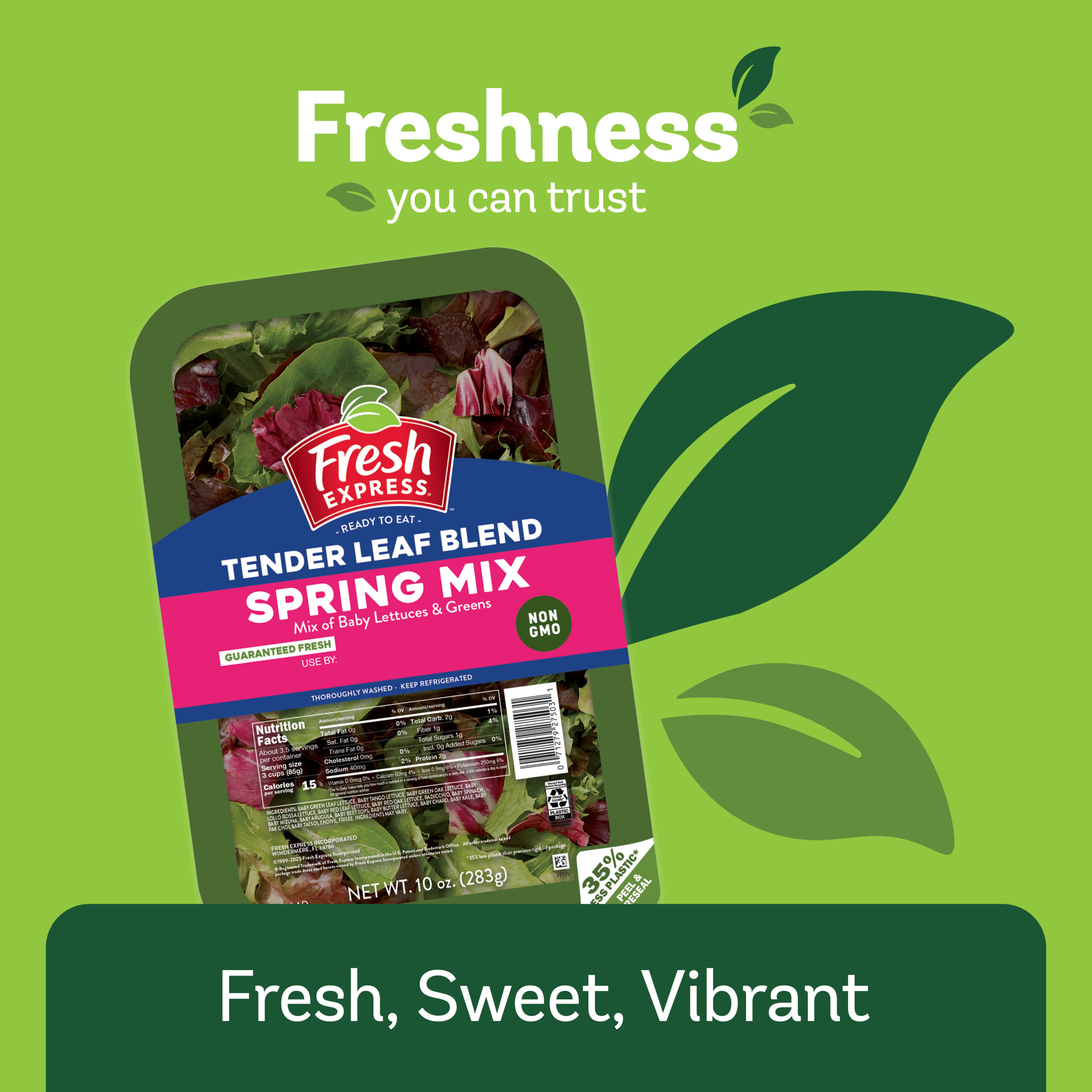 Spring Mix Clamshell - Fresh Express